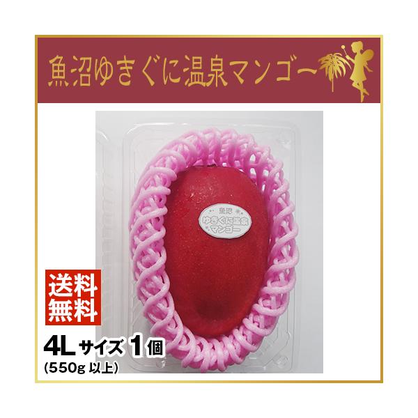 【発売日：2015年06月01日】【令和8年の販売予約を開始しました。】温泉熱を利用してつくった、環境に優しい完熟マンゴー。新潟・南魚沼で栽培された珍しい一品。ご贈答用にもどうぞ。糖度はなんと18度以上。とびきりの甘さです。品種はアーウィン...
