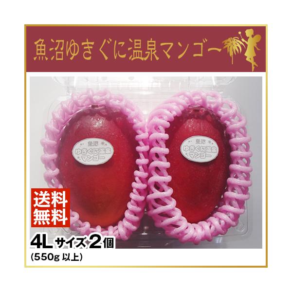 【発売日：2015年06月01日】【令和8年の販売予約を開始しました。】温泉熱を利用してつくった、環境に優しい完熟マンゴー。新潟・南魚沼で栽培された珍しい一品。ご贈答用にもどうぞ。糖度はなんと18度以上。とびきりの甘さです。品種はアーウィン...