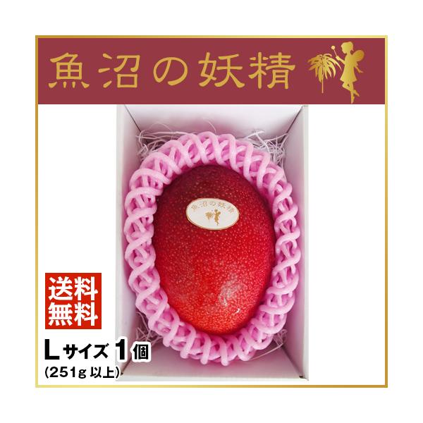【発売日：2015年06月01日】【令和8年の販売予約を開始しました。】温泉熱を利用してつくった、環境に優しい完熟マンゴー新潟・南魚沼で栽培された珍しい一品。ご贈答用にもどうぞ糖度はなんと18度以上。とびきりの甘さです品種はアーウィン。濃い...