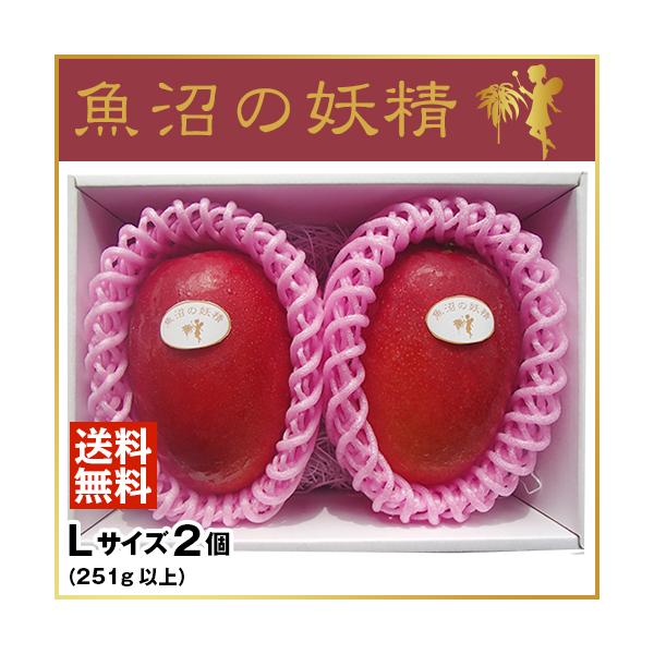【発売日：2015年06月01日】【令和8年の販売予約を開始しました。】温泉熱を利用してつくった、環境に優しい完熟マンゴー新潟・南魚沼で栽培された珍しい一品。ご贈答用にもどうぞ糖度はなんと18度以上。とびきりの甘さです品種はアーウィン。濃い...