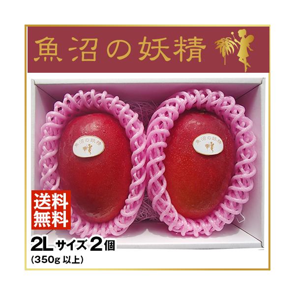 【発売日：2015年06月01日】【令和8年の販売予約を開始しました。】温泉熱を利用してつくった、環境に優しい完熟マンゴー新潟・南魚沼で栽培された珍しい一品。ご贈答用にもどうぞ糖度はなんと18度以上。とびきりの甘さです品種はアーウィン。濃い...