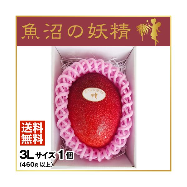 【発売日：2015年06月01日】【令和8年の販売予約を開始しました。】温泉熱を利用してつくった、環境に優しい完熟マンゴー新潟・南魚沼で栽培された珍しい一品。ご贈答用にもどうぞ糖度はなんと18度以上。とびきりの甘さです品種はアーウィン。濃い...