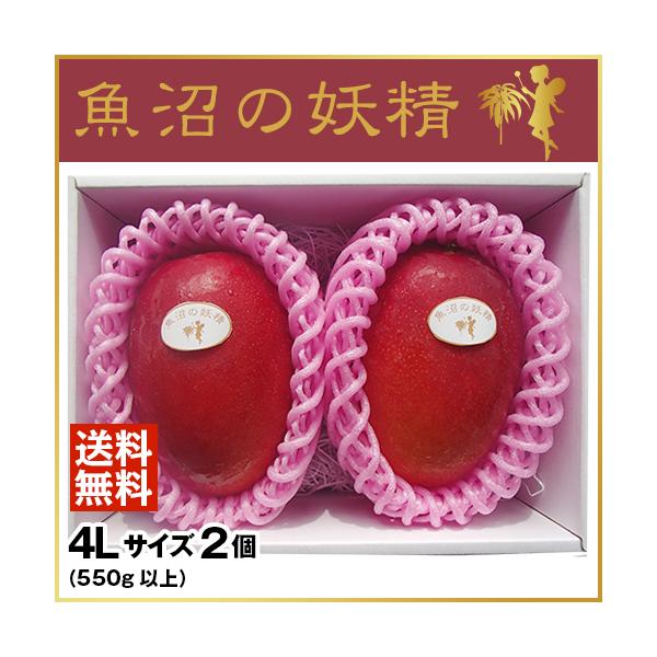 【発売日：2015年06月01日】【令和8年の販売予約を開始しました。】温泉熱を利用してつくった、環境に優しい完熟マンゴー新潟・南魚沼で栽培された珍しい一品。ご贈答用にもどうぞ糖度はなんと18度以上。とびきりの甘さです品種はアーウィン。濃い...