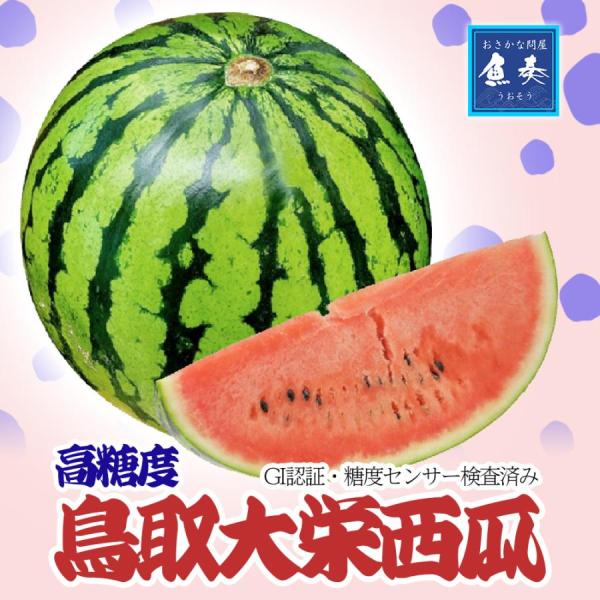 ☆　もはや普通に戻れません　☆糖度センサー検査済み。1玉1玉検品して糖度平均約12〜14度（最低基準11度以上をクリア）はまさに極上のスイカ。シャリ感、みずみずしさ。そしてスイカ好きにはたまらないその風味。ただ、甘いだけではない一級産地とし...