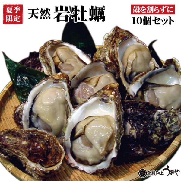 ※こちらの商品は【殻を割らずに】お届けします。※牡蠣開けナイフ等付属しておりませんので、別途ご用意ください。※漁や相場の状況により価格が変動する可能性がございますが、ご注文確定時の価格で手配させていただきます。★５月は石川県産となり、入荷の...