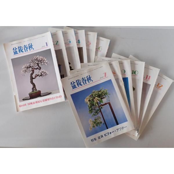 ・書名：盆栽春秋　2010/01-2010/12 ・ISBN： ・著者：日本盆栽協会 ・出版元：日本盆栽協会 ・刊行年：2010/01/01-2010/12/01 ・解説：