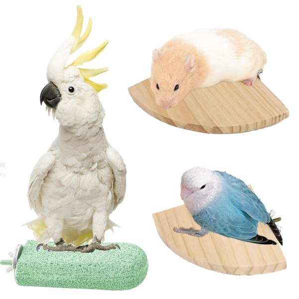 SALUDABLE 爪とぎ ステップ とまり木 スタンド インコ ハムスター 小鳥 モモンガ セット (グリーン)