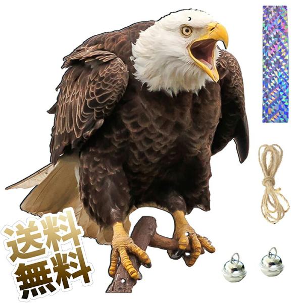 【発売日：2025年04月30日】【材質】鳥避けは高品質の材料で作られ、変形しにくい、両面印刷、効果的に鳥を怖がらせることができます。装飾は防水、耐候性があり、雨の日でも使用できますこの絶妙なデザインは、鳥を阻止するだけでなく、あなたの屋外...