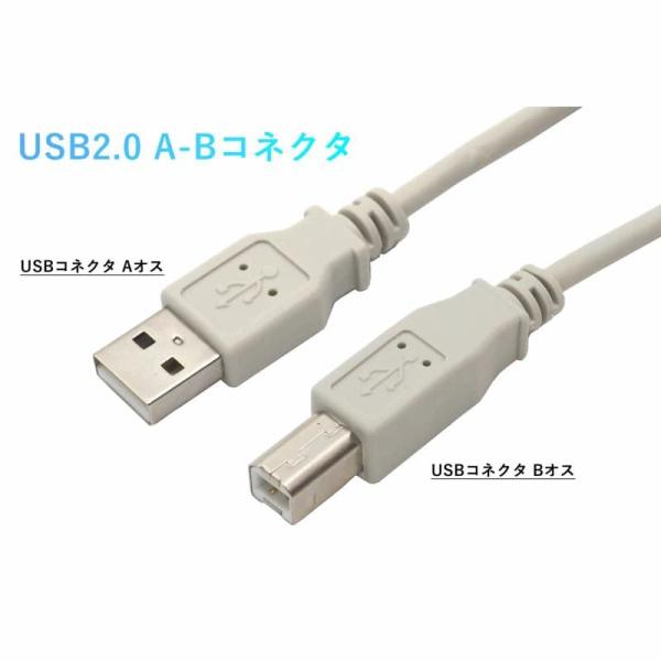 【発売日：2023年03月01日】USBコネクタ Aオス - USBコネクタBオス (USB2.0 A-Bコネクタ)AタイプはパソコンなどへBタイプはスキャナーやプリンタへ USB2.0規格 最大転送速度480Mbps当ケーブルはUSB-B...