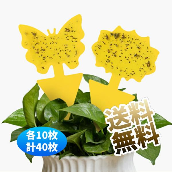 【発売日：2026年06月02日】40枚入りで、猫・花・ニンジン・蝶など多彩なデザインが揃っています。1枚あたりのサイズは約8×約13cmで扱いやすく、観葉植物の周りや家庭菜園など、さまざまな場所で使える便利な構成です。植物まわりの管理に役...