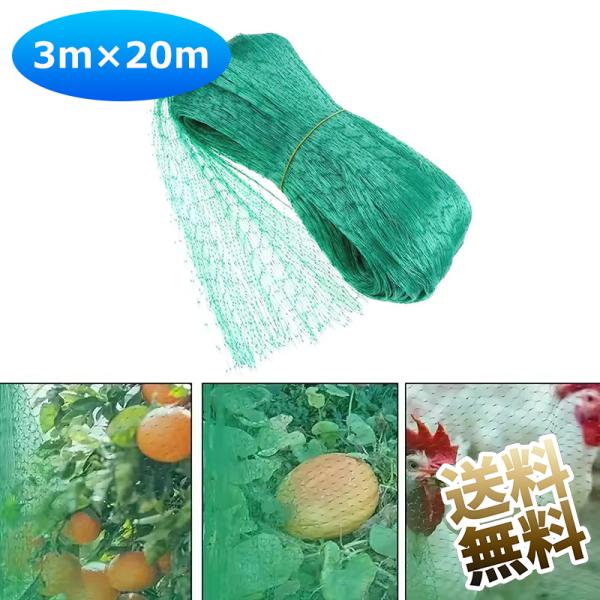 【発売日：2025年01月16日】サイズ：幅3m×長さ20m、素材：ナイロンテグス、大サイズなので、果樹などを覆うことができるビッグサイズです。ご注意：機械で測ったので長さについて多少の誤差があります用途：カラスや鳥、動物の被害から、野菜・...