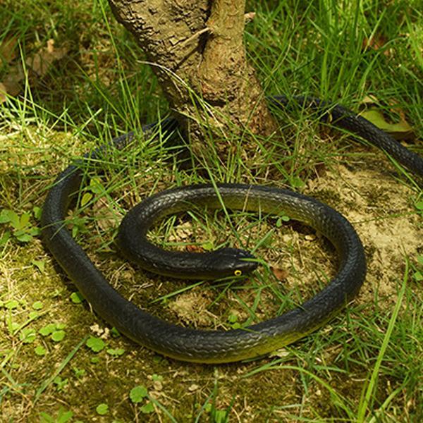 思わずビックリ ゴム製のヘビのおもちゃ鳥や猿の対策にも効果的 おなか側は黄色いです素材：ゴム製全長:120cm重量：約181g※輸入品につき、若干の傷や汚れはご容赦ください※仕様やデザインは改善のため、予告なく変更される場合がございます。黒青長