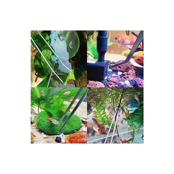 給餌や掃除などに最適のピンセットです