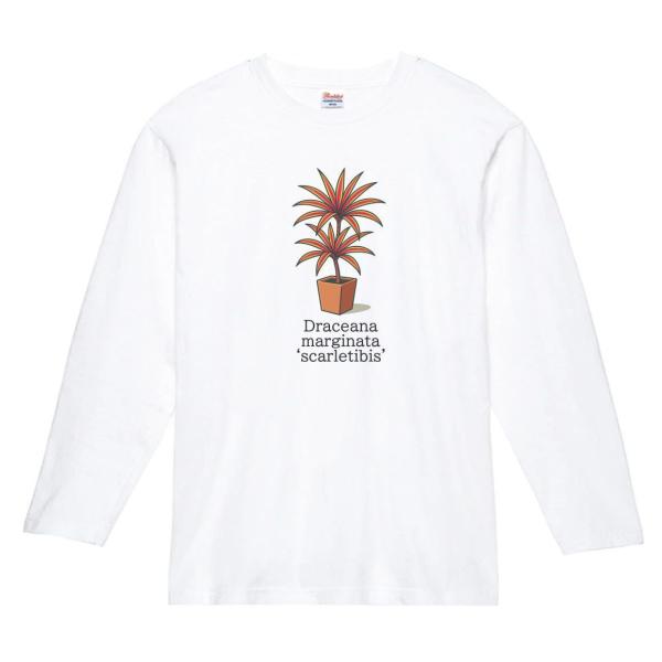 ◆綿100%　厚み：普通◆Sサイズ　身丈66ｃｍ　身幅49ｃｍ　袖丈56ｃｍ　◆Ｍサイズ　身丈70ｃｍ　身幅52ｃｍ　袖丈58ｃｍ　◆Ｌサイズ　身丈74ｃｍ　身幅55ｃｍ　袖丈59ｃｍ ◆XＬサイズ　身丈78ｃｍ　身幅58ｃｍ　袖丈60ｃｍ...