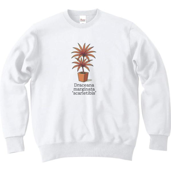 裏パイルのオールシーズン使えるトレーナーになります。◆綿100%　厚み：普通 9.7oz 裏パイル◆Sサイズ　身丈64ｃｍ　身幅50ｃｍ　袖丈59ｃｍ　肩幅　44ｃｍ◆Ｍサイズ　身丈67ｃｍ　身幅53ｃｍ　袖丈62ｃｍ　肩幅　47ｃｍ◆Ｌサ...