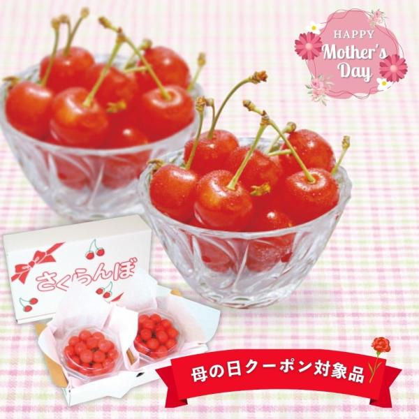 ◆商品説明[お届け開始日]2026/05/06[お届け終了日]2026/05/09[お申込み締切日]2026/04/28[宅配区分]常温[賞味期間]お早めにお召し上がりください。[包装形態]化粧箱入[二重包装]不可[メッセージカード]あり