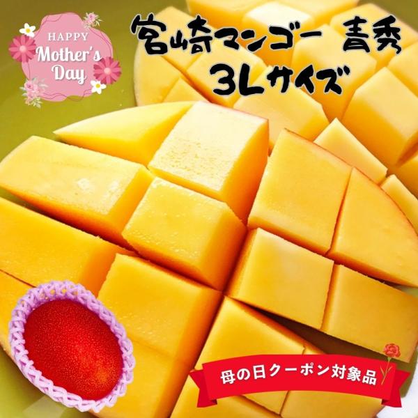 ◆商品説明[メーカー]丸進青果[お届け開始日]2026/05/08[お届け終了日]2026/05/10[お申込み締切日]2026/05/06[宅配区分]冷蔵[包装形態]簡易包装[二重包装]不可[商品サイズ]250×180×163mm[メッセ...