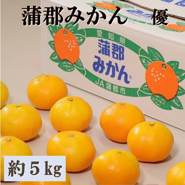 ◆商品説明[お届け開始日]2025/12/01[お届け終了日]2025/12/31[お申込み締切日]2025/12/25[宅配区分]常温[包装形態]簡易包装[二重包装]不可[箱サイズ]380×250×150mm