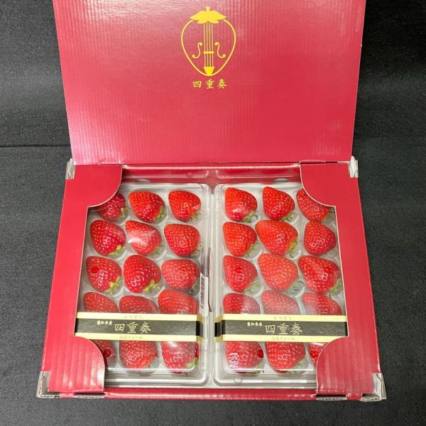 ◆商品説明[お届け開始日]2026/01/10[お届け終了日]2026/01/31[お申込み締切日]2026/01/25[宅配区分]冷蔵[包装形態]簡易包装[二重包装]不可[箱サイズ]290×180×90mm