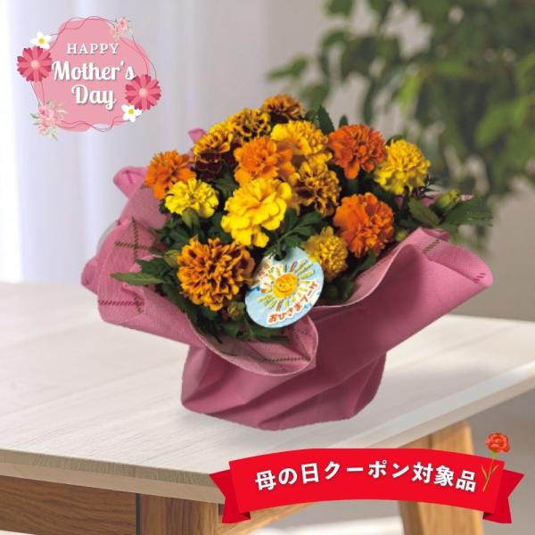 ◆商品説明[お届け期間]5/1　7:59までの注文で5/10までに発送、5/1　8:00以降の注文で5/11以降順次発送[お申込み締切日]2026/5/19[宅配区分]常温[包装形態]ボール箱入[二重包装]不可[メッセージカード]あり