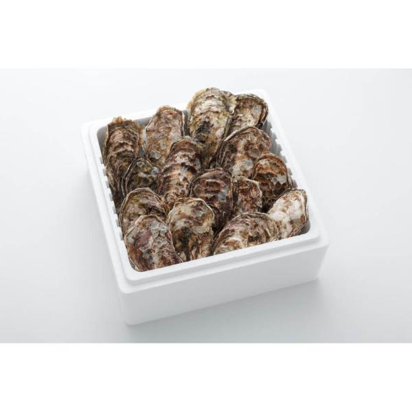 ◆商品説明[メーカー]アミスイ[内容量]2kg(12〜16個)[保存方法]10℃以下で保存し、できるだけお早めにお召し上がりください。[賞味期限]発送日より4日