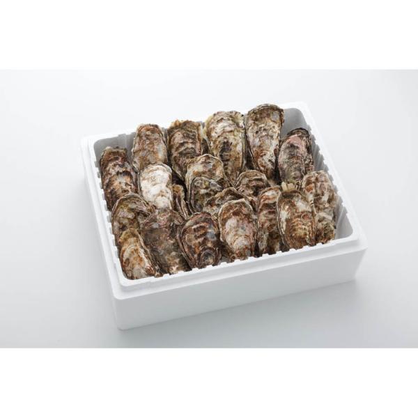 ◆商品説明[メーカー]アミスイ[内容量]3kg(18〜24個)[保存方法]10℃以下で保存し、できるだけお早めにお召し上がりください。[賞味期限]発送日より4日