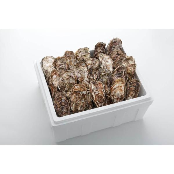 ◆商品説明[メーカー]アミスイ[内容量]4kg(24〜32個)[保存方法]10℃以下で保存し、できるだけお早めにお召し上がりください。[賞味期限]発送日より4日