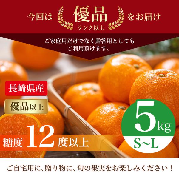 ◆商品説明[メーカー]楽彩[産地]長崎県[糖度]12度以上[サイズ]S〜Lサイズ[内容量]約5kg