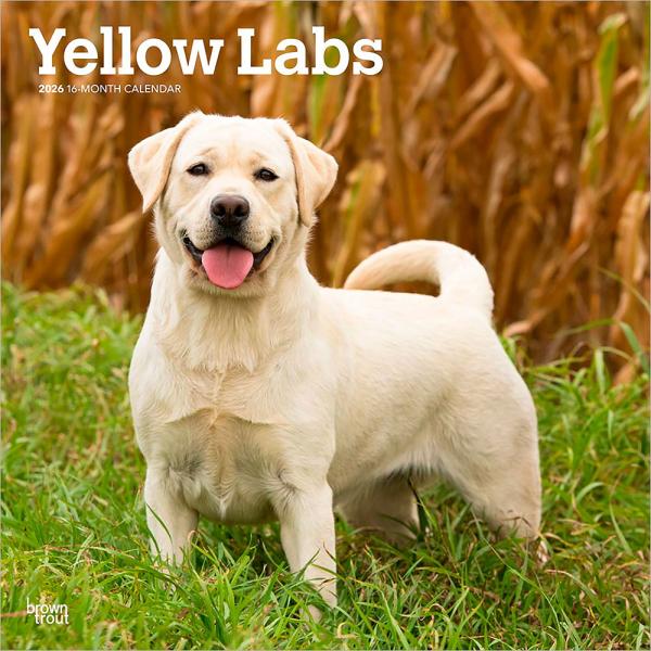 ◆商品説明[メーカー]BrownTrout Publishers[使用時のサイズ]61×30.5cm[言語]英語[日本の祝日表記]なし