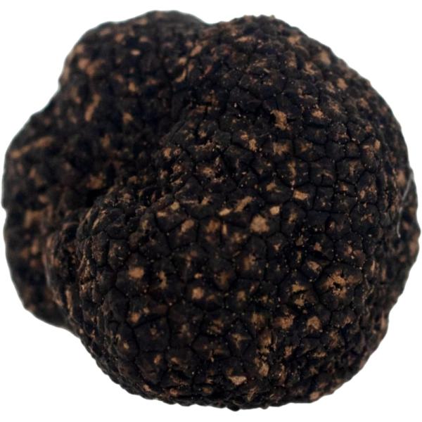 ◆商品説明[メーカー]Truffle Universe[サイズ]3〜6cm[内容量]約15g[産地]ヒマラヤ産(中国産)[配送]冷凍