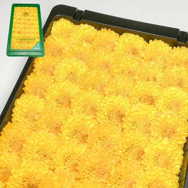 ◆商品説明[メーカー]丸進青果[産地]愛知県[内容量]1パック[1パックサイズ]13×22cm