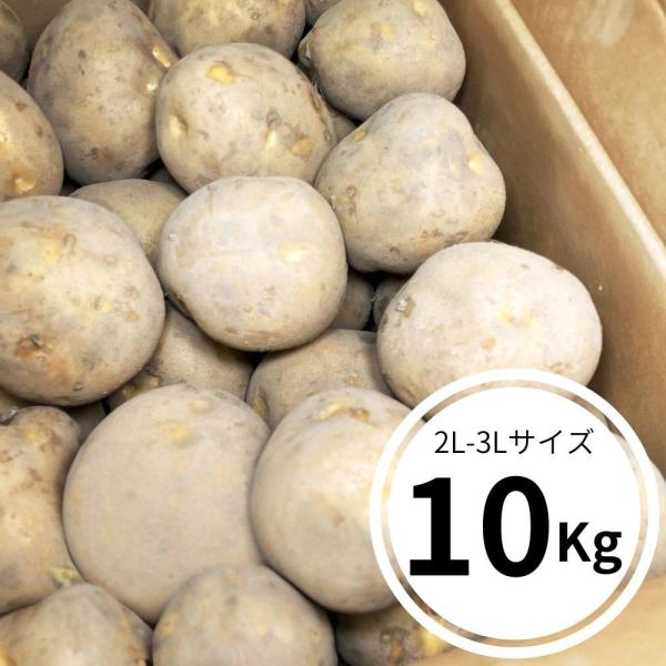 ◆商品説明[メーカー]丸進青果[産地]北海道[サイズ]2L-3Lサイズ[内容量]30〜45玉前後(約10.0kg)