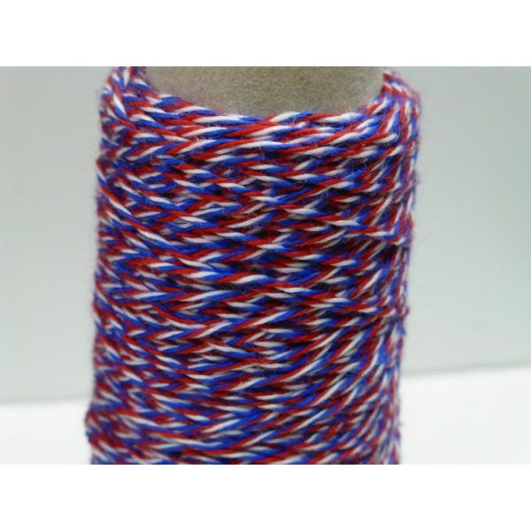 ユーロの英雄　イタリア　フランス　ドイツのからーをイメージした糸です。飾り糸やラッピングなどにも紐としてもお使いいただけます。約１９７メートル　５０G巻き　綿１００％　なんと１００円です