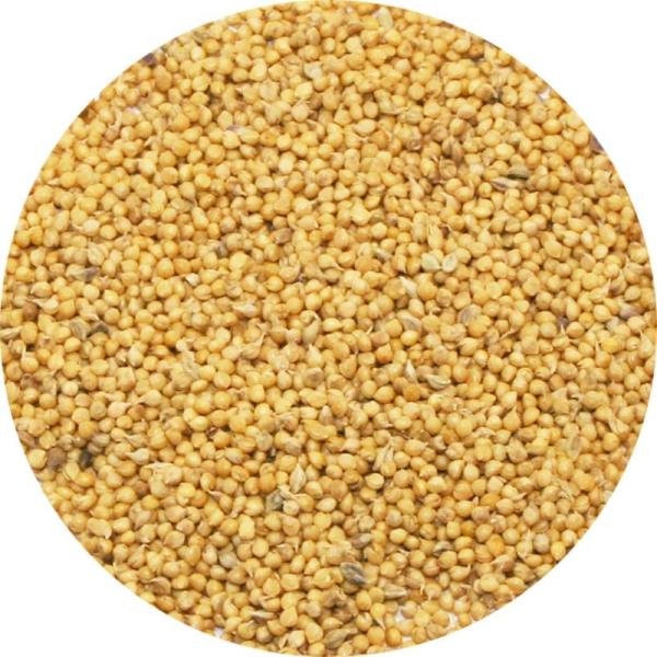 国産無農薬栽培の北海道産もちあわです。小鳥たちの主食になる穀物です。今お使いのフードに足したり、オリジナル配合を作ったりできます。※収穫時期により実の大きさ、色などに違いが出る事がございます。収穫の際に付いてしまう砂等が混入してしまう事がご...