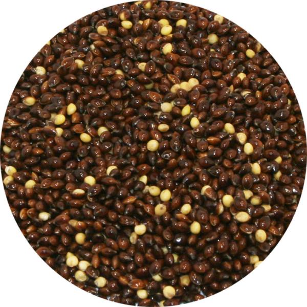 国産無農薬栽培の北海道産いなきびです。小鳥たちの主食になる穀物です。今お使いのフードに足したり、オリジナル配合を作ったりできます。※収穫時期により実の大きさ、色などに違いが出る事がございます。収穫の際に付いてしまう砂等が混入してしまう事がご...