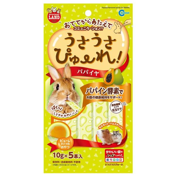 コミュニケーションをとりながら、もっとなかよく！おててから、お皿から、お好みの与え方が選べる 新しいピューレタイプのおやつです。保存料・合成着色料 不使用パパイン酵素でお腹の健康維持をサポート！【原材料】パパイヤ果汁（６倍濃縮）・糖類（ショ...