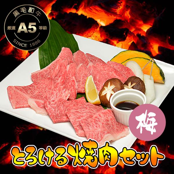【商品名】とろける焼き肉セット（梅）＋オプションセット【名称】とろける焼き肉セット【おすすめポイント】大和榛原牛（黒毛和牛A5等級）ならではのとろける食感と口の中いっぱいに広がるジューシーな肉の旨味・甘味を実感いただける大人気セットです。是...
