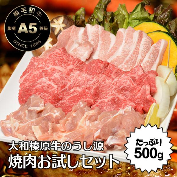 【商品名】うし源本店焼肉お試しセット【名称】焼肉お試しセット 500g【おすすめポイント】うし源品質をお確かめいただけるお試しセット。厳選素材の美味しいが、たっぷり500g！しかも送料無料です。【産地名】大和榛原牛：長崎県 大和美豚：奈良県...