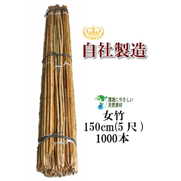 サイズ：150cm（5尺）×1000本梱包この竹はベトナム産で、ＳＤＧｓの一環として弊社が現地に設立した竹加工工場で生産しております。女竹は、しなやかで粘り強く丈夫な竹です。測量の際、杭が隠れてしまう時の目印や、農業用の支柱として幅広くご利...