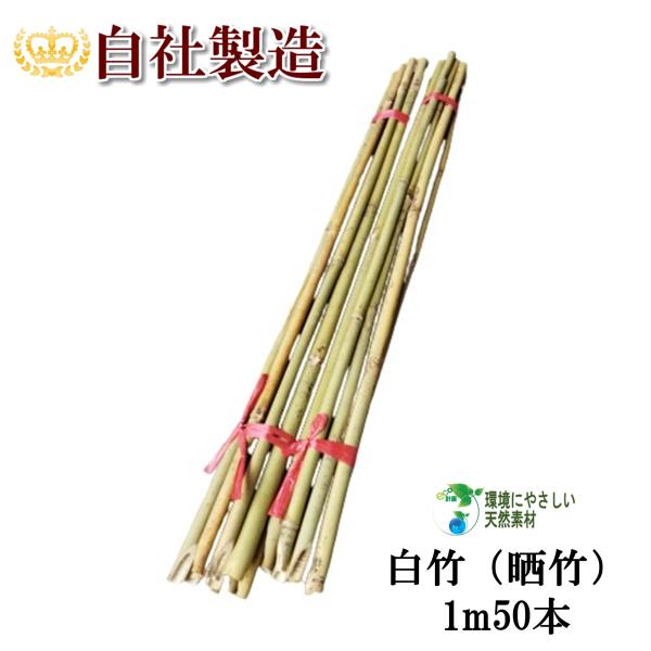 サイズ：1m×50本梱包太さ：14〜19mm（先端）、18〜24mm（根元）※天産品のため太さや状態にはばらつきがございます。予めご了承ください。この白竹は、肉厚で耐久性のある竹で、園芸・造園用（支柱、雪囲い、竹垣など）や、竹加工用（竹細工...