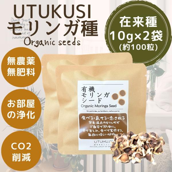 ハーブとしても大人気ミラクル野菜のUTUKUSIのモリンガをご自宅で育ててみませんか？環境にやさしく、二酸化炭素削減の効果は日本スギの数十倍！お部屋の空気も浄化してくれますよ♪・・・・・・・・・・・・・・・・・・・・・・・・・・・・・・・・...