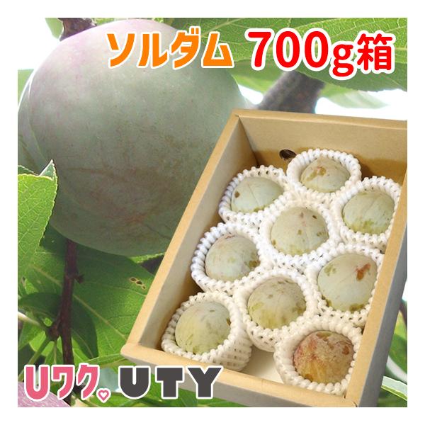 【発売日：2026年07月04日】山梨県東部の日当たりが良く、肥沃な土壌で果物を多く栽培している有名な八代(やつしろ)産です。比較的、穏やかな気候で強い風が吹きにくいため、果物がのびのびと育ちます。すももの代名詞になるほど有名な品種、ソルダ...