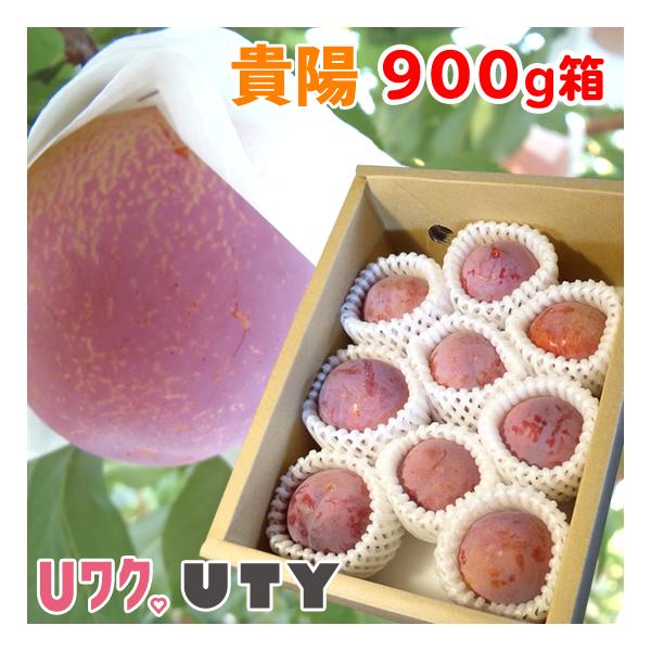 【発売日：2026年07月20日】山梨県東部の日当たりが良く、肥沃な土壌で果物を多く栽培している有名な八代(やつしろ)産です。比較的、穏やかな気候で強い風が吹きにくいため、果物がのびのびと育ちます。貴陽は「太陽」という品種から生まれた山梨県...