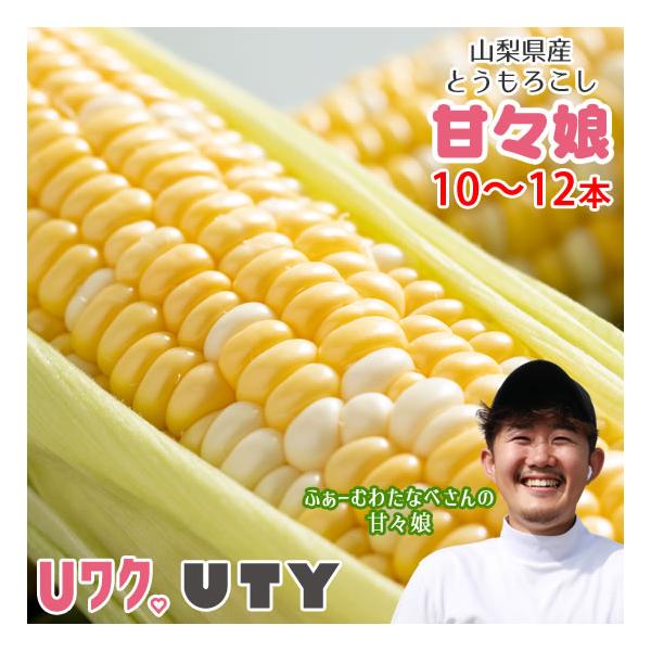 【発売日：2026年06月05日】山梨県西八代郡市川三郷町大塚地区の肥沃な土や寒暖差が育てたスイートコーン『甘々娘』は甘味がメロンと同じぐらいの糖度15度以上で他のとうもろこしと比べ糖度の下がりが遅いので甘い期間が長く粒皮が柔らかいのが特徴...