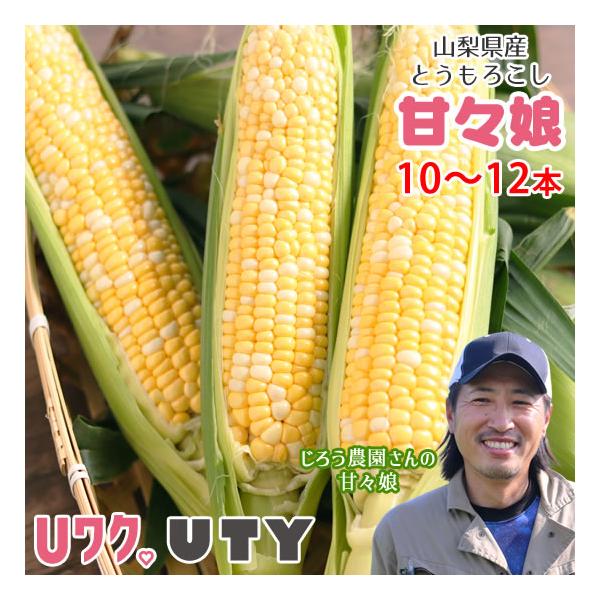 【発売日：2026年06月05日】山梨県市川三郷町旧三珠地区の肥沃な土地が育てたスイートコーン「甘々娘」は、甘みがメロンと同じくらいの糖度15度以上で、他のとうもろこしと比べて糖度が下がりにくく、粒皮が柔らかいのが特徴です。見た目も黄色と白...