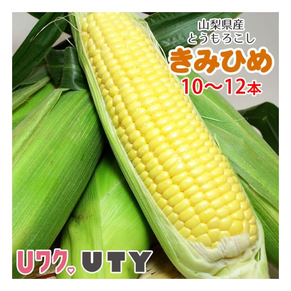 【発売日：2026年06月08日】甘々娘やゴールドラッシュのような有名なとうもろこし品種ではありません。しかし、目利きのプロ 築地の青果バイヤーを唸らせたとうもろこしが「きみひめ」です。甲府盆地特有の昼夜気温の寒暖差が、糖度の高いとうもろこ...