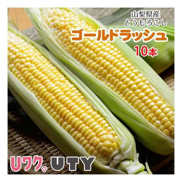 【発売日：2026年06月18日】山梨県境川産のゴールドラッシュを早朝に収穫しその日に出荷します。生で召し上がれます。フルーツ並みの糖度で強い甘さが特徴です。収穫できる時期が1か月も無いので希少なとうもろこしです。東京のレストランから直接指...