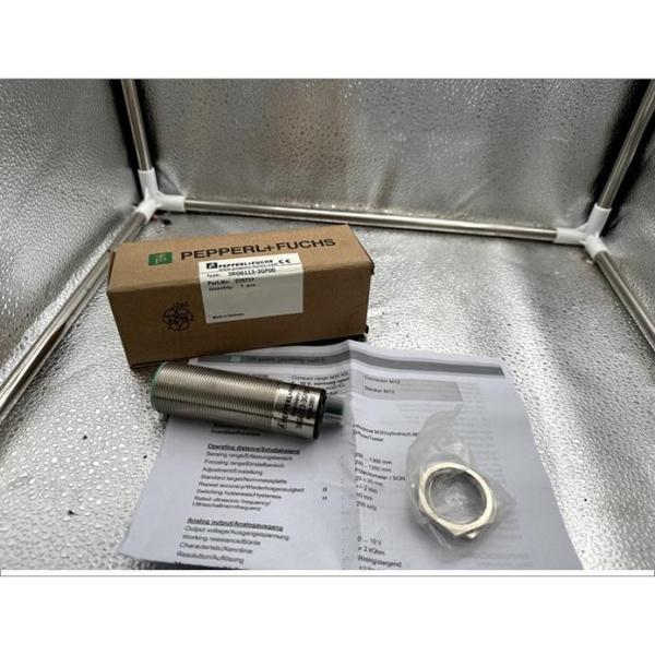 PEPPELL + FUCHS /センサー3RG6113-3GF00 / NEU / OVP