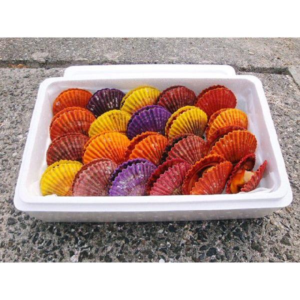 【発売日：2025年10月01日】天候に左右される為、水揚げ次第のお届けとなります。