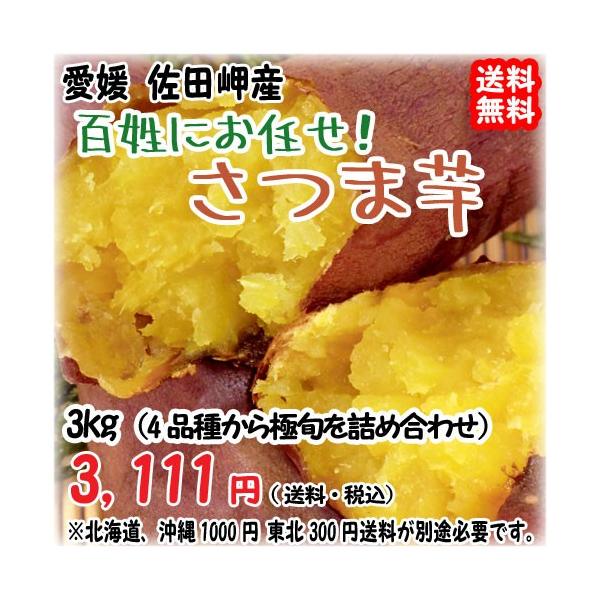愛媛 佐田岬産 百姓にお任せ！ 【 さつま芋 】 3kg 宇和海の幸問屋 送料無料